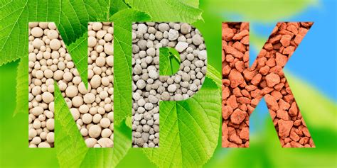 Image result for NPK Explained