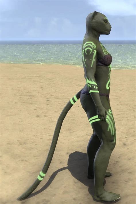 Image result for Taskmaster in ESO