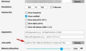 Image result for Drivers for Minecraft Java