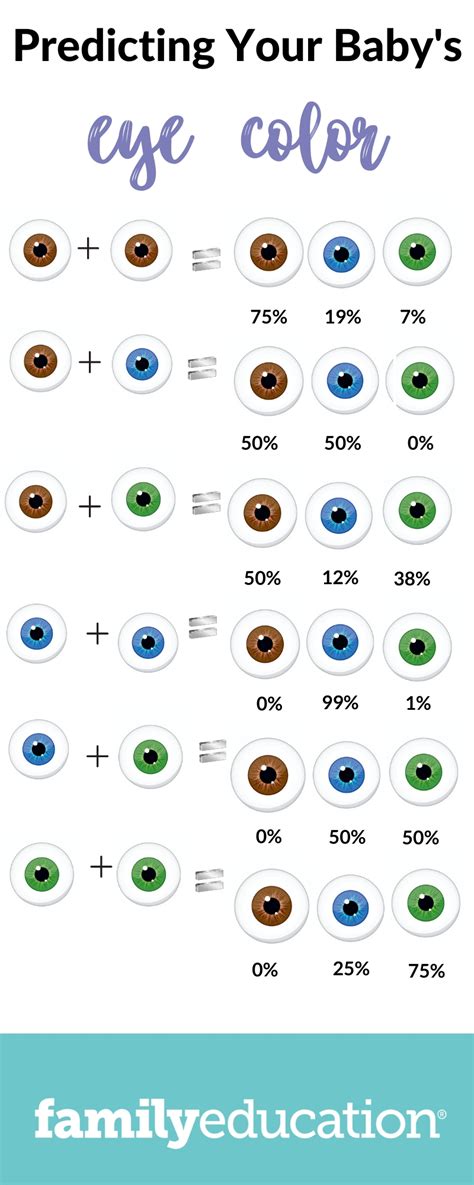 Image result for Eye Color Inheritance Chart