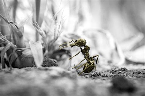 Image result for Tensorflow Lite Python