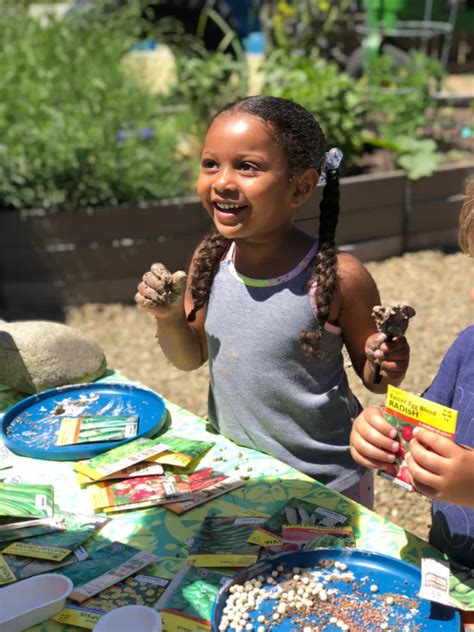 Image result for Elephant Toothpaste Science