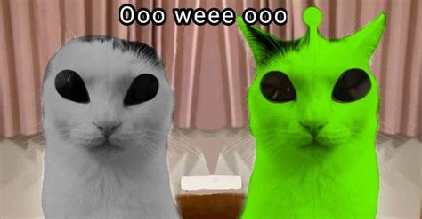 Image result for Alien Cat Meme Origin
