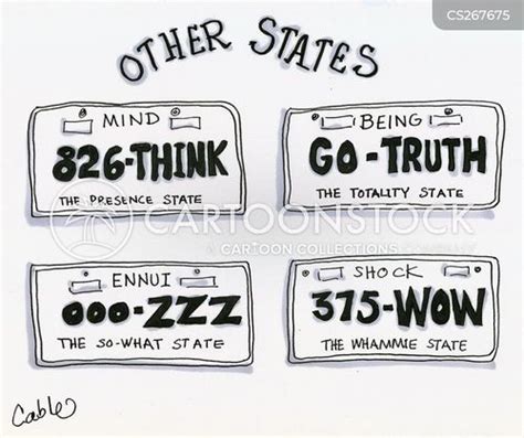 Image result for Cartoon License Plate