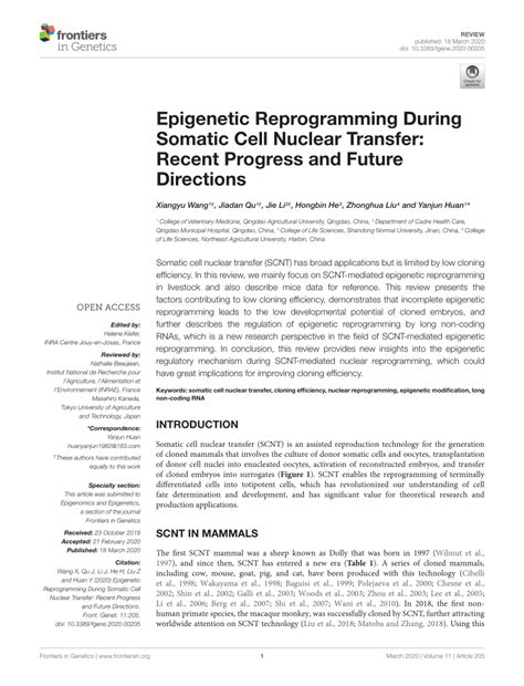Image result for Somatic Cell Reprogramming