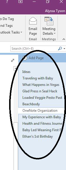 Image result for OneNote Organization