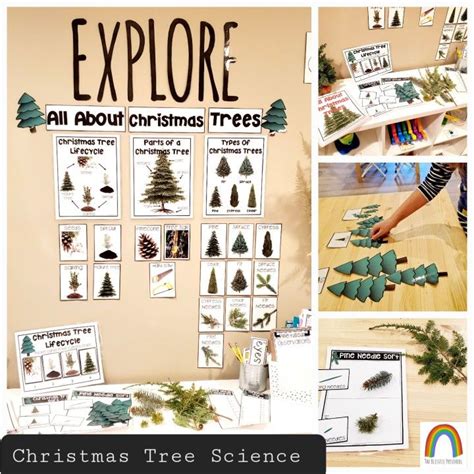 Image result for Christmas Tree Object Lesson