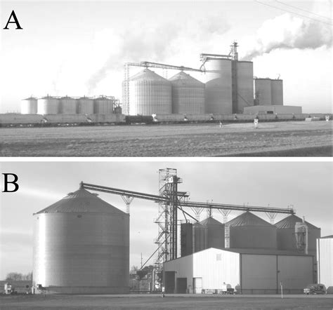 Image result for Corn-Based Bioethanol