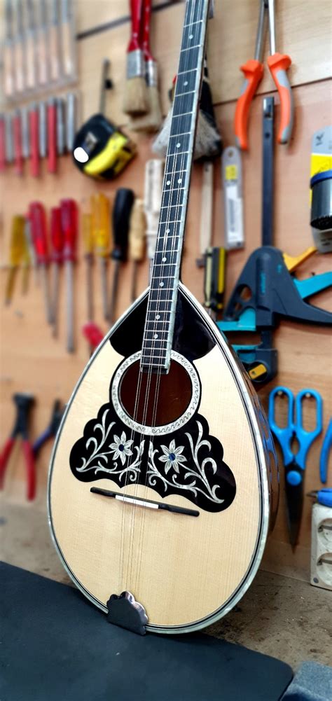 Image result for 6 String Mandolin