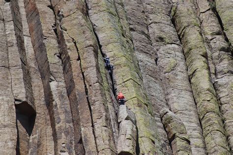 Image result for Devils Tower Tree Stump