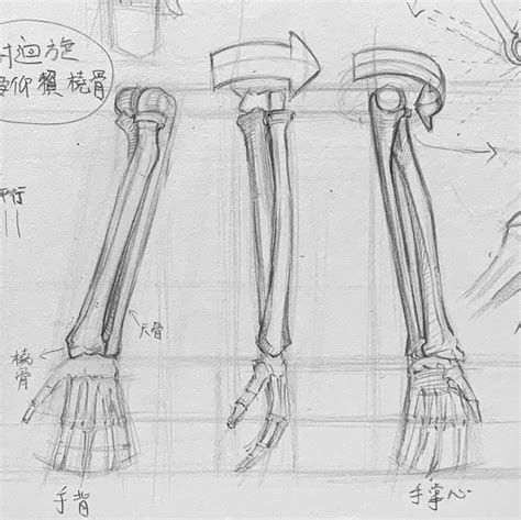 Image result for Arm Drawing Tutorial