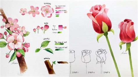 Image result for Flower Drawing Tutorial