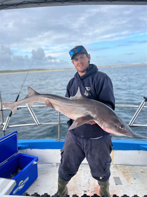 Image result for Reef Fishing Tips