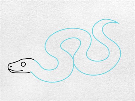 Burmese Python Drawing - HelloArtsy