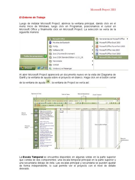 Image result for Microsoft Project 2003 Tutorial
