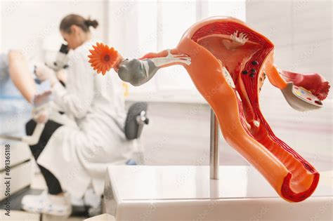 Image result for Alien Exams On Women