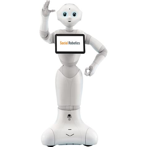 Image result for Pepper Robot Object