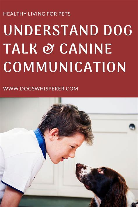 Image result for How Dogs Communicate with People