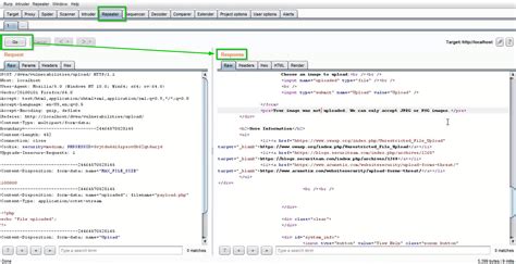 Image result for Burp Suite API Testing