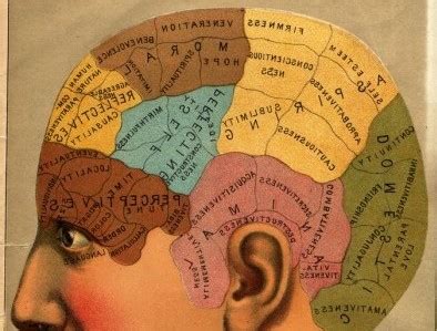 Image result for The Human Brain Map Project