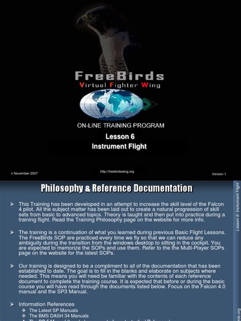 Image result for Instrument Flight Lesson