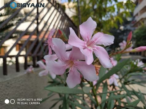 Image result for Redmi Note 6 Pro Camera Test
