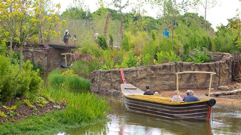 Image result for Chester Zoo Wolves