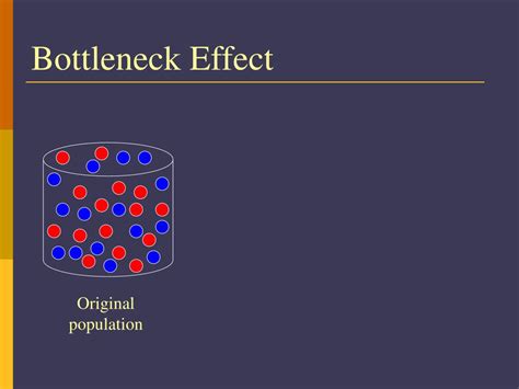 Image result for Bottleneck Effect Example