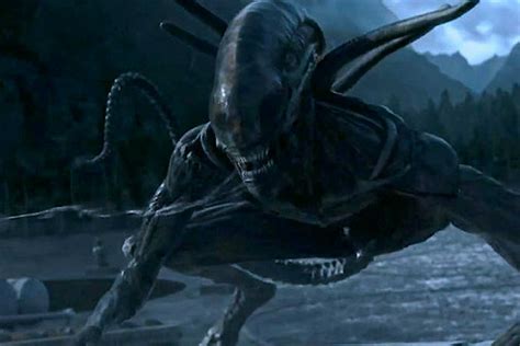 Image result for Alien Racism