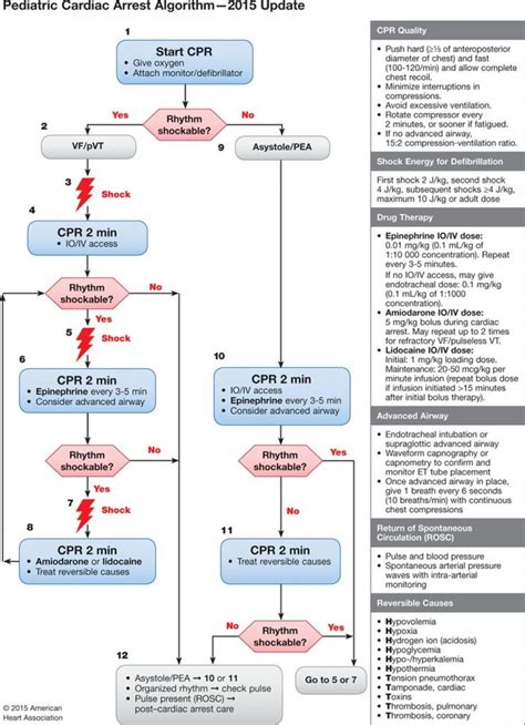 Image result for Pediatric ALS Algorithm