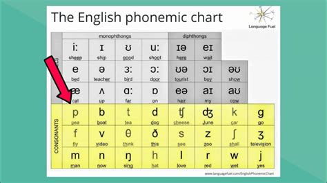 Image result for IPA Language Chart