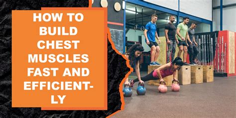 Image result for Build Chest Muscles