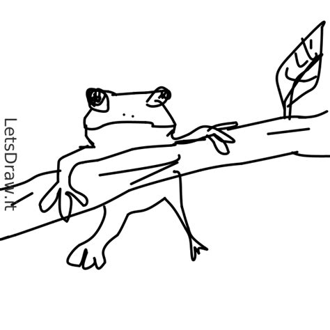 Image result for How to Draw a Tree Frog