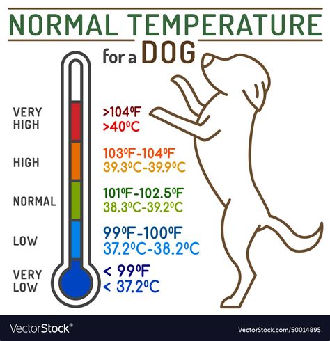 Image result for Dogs Normal Temp