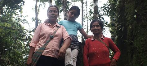 Image result for Amazon Forest Humans