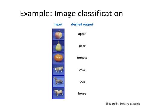 Image result for Classification Basic Image Example