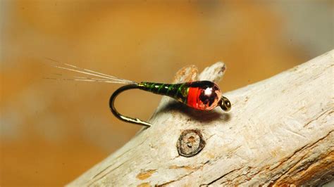 Image result for Pleava Perdigon Fly Pattern