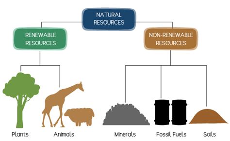 Image result for Classification of Natural Resources