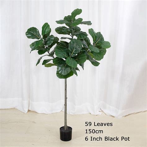 Image result for Fake Fiddle Fig Tree
