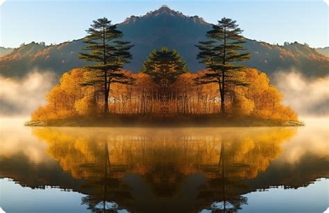 Image result for Mirror Image Software