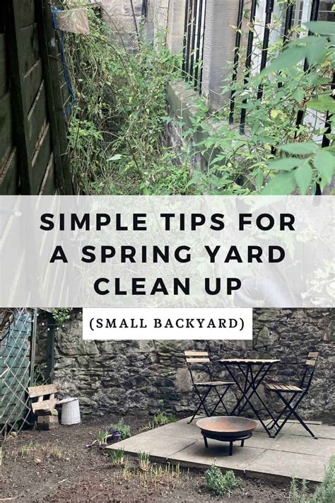Image result for Spring Yard Clean Up Pruning