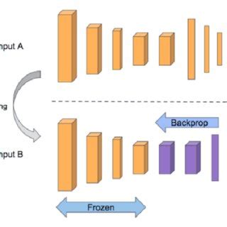 Image result for Transfer of Training Model