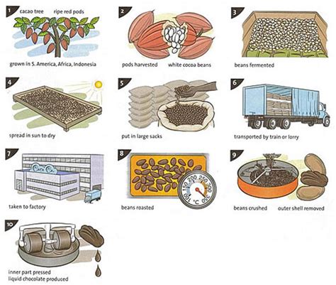 Image result for Chocolate Production Process