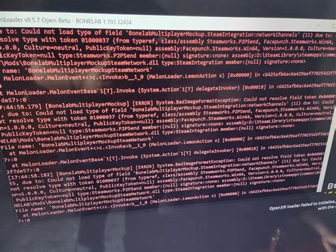 Image result for BoneLab Multiplayer Mod Download