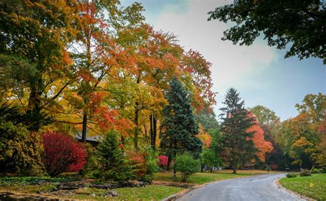 Image result for Fall Rustage