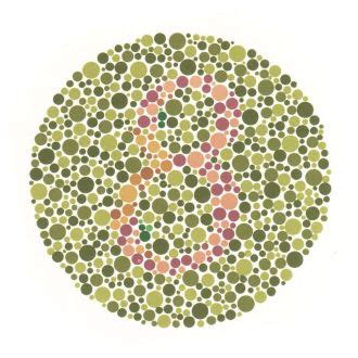 Image result for How to Perform Color Vision Test