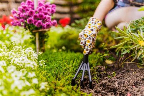 Image result for Spring Garden Planting