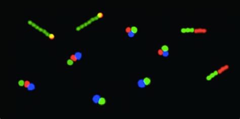 Image result for How to Know How to Form Molecules