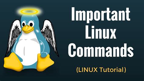 Image result for Quick Linux Commands Tutorial