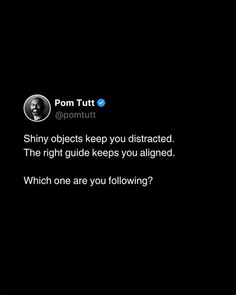 Image result for Shiny Objects Distraction